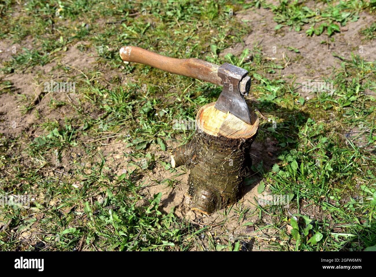 Ax during the goblets of wood log. Chop and preserve firewood. Split ...