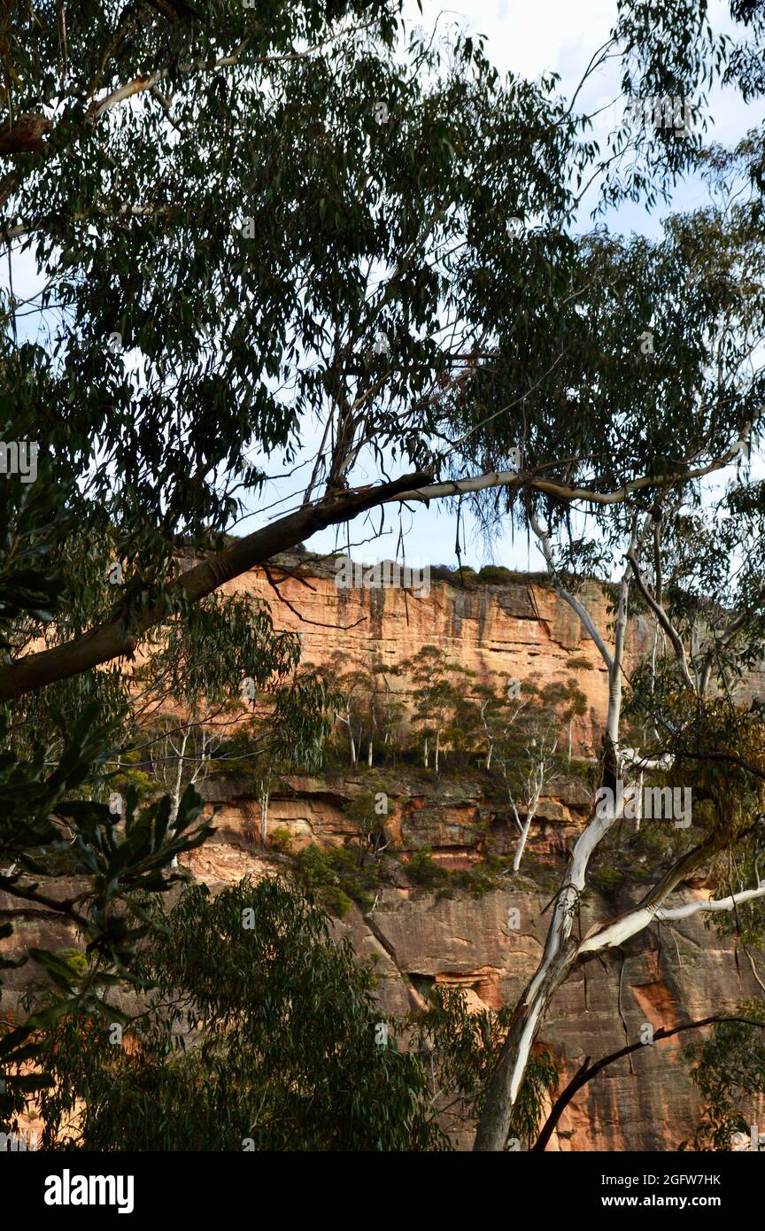 A red cliff face in the afternoon sun Stock Photo - Alamy