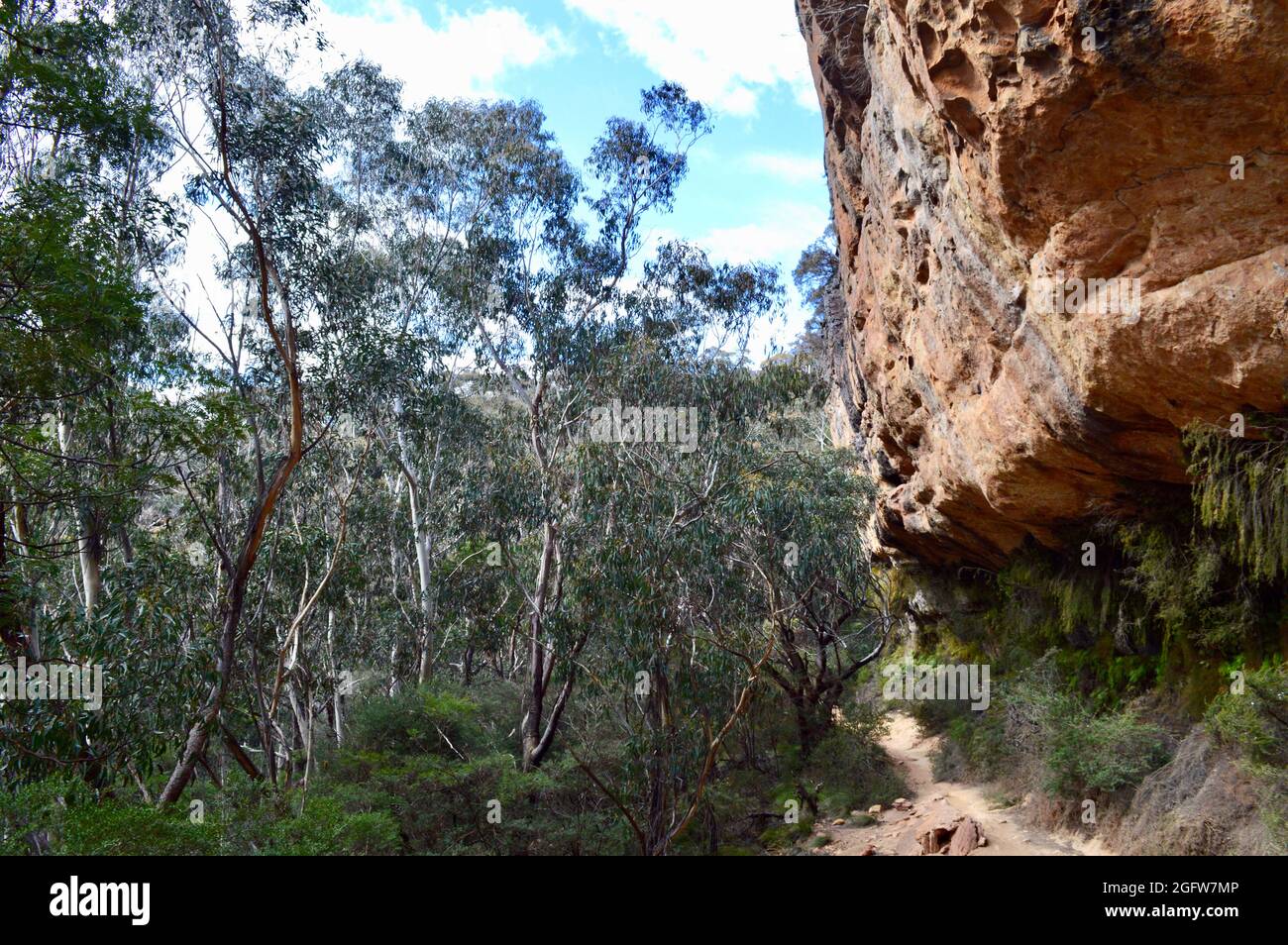 Centennial Glen Walking Track in the Blue Mountains Stock Photo - Alamy