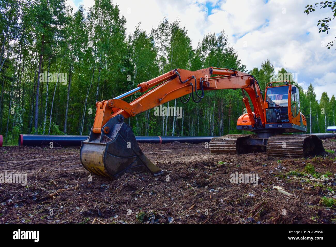 Excavator clearing forest for new development. Orange Backhoe modified ...