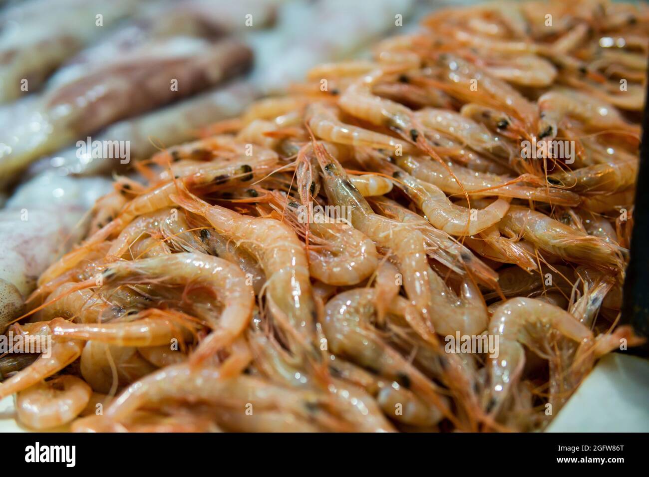 Fresh prawns on display at a traditional food market Stock Photo - Alamy