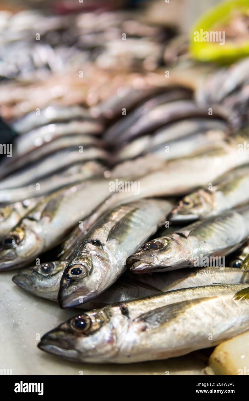 Fresh fish displayed in a traditional food market. Whiting fish Stock ...