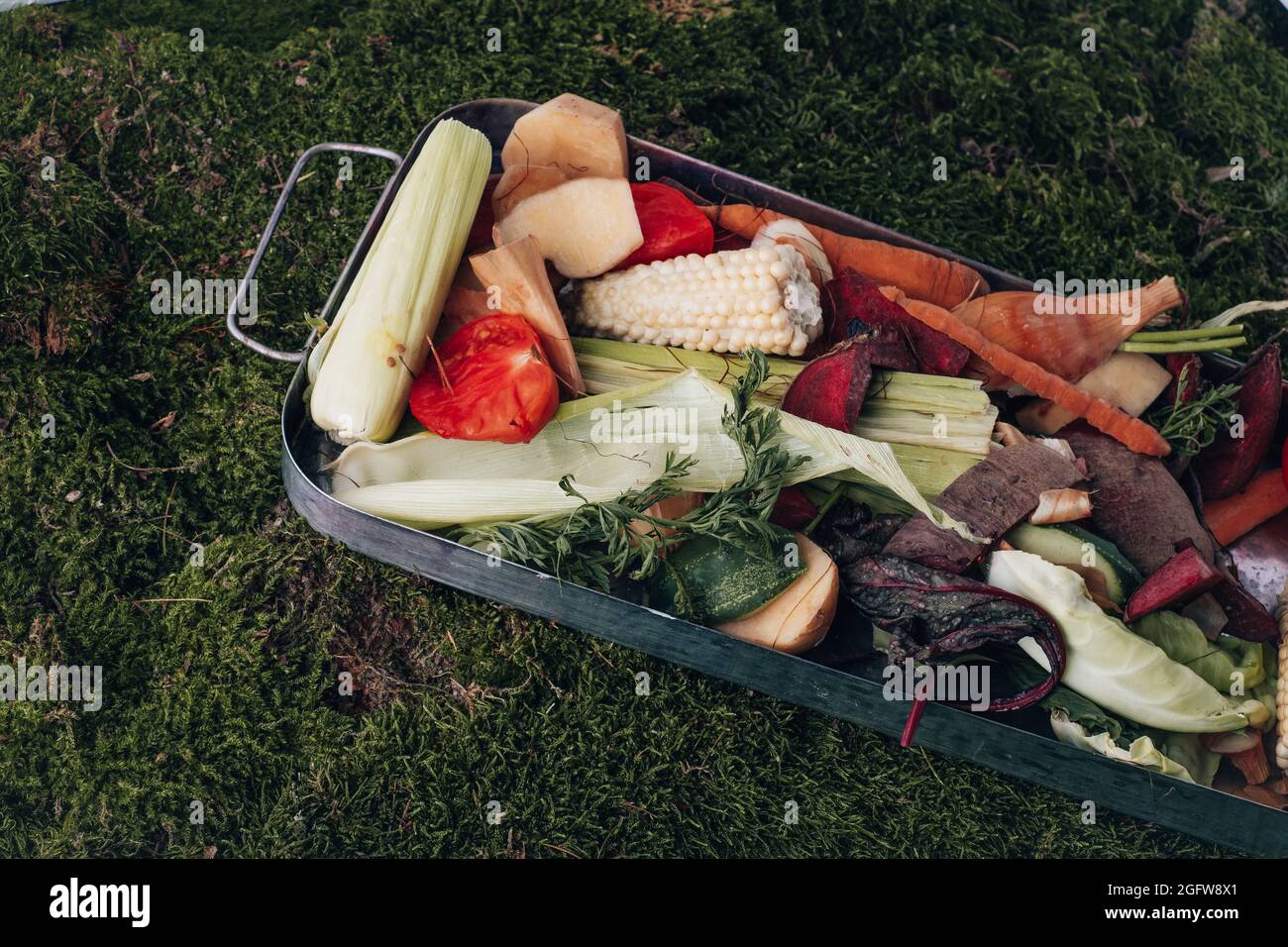 Fresh kitchen scraps in bin on a green background. top view ...
