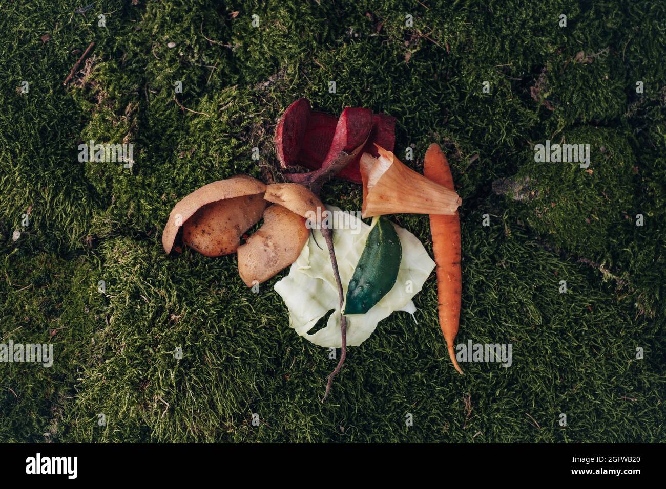 Waste food garbage cabbage hi-res stock photography and images - Alamy