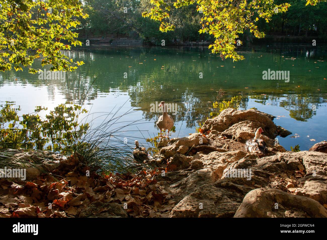 Anna spain hi-res stock photography and images - Alamy