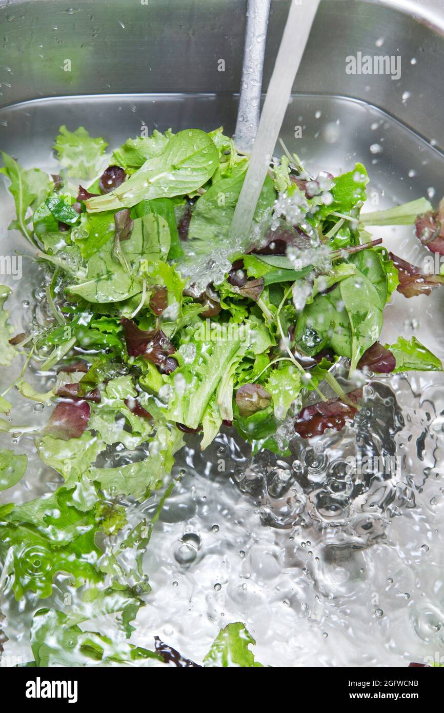 The washing salad in the kitchen sink Stock Photo - Alamy