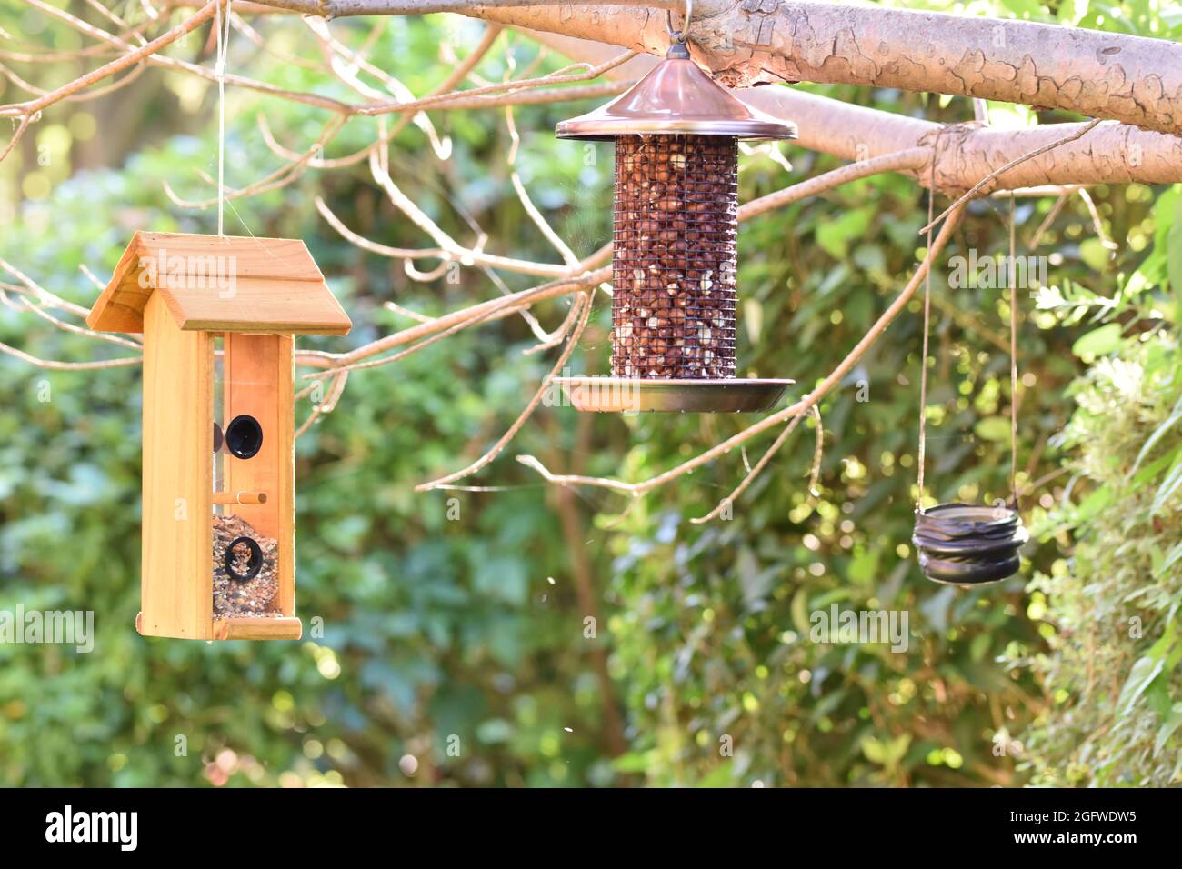 Bird Feeders Tree High Resolution Stock Photography and Images - Alamy
