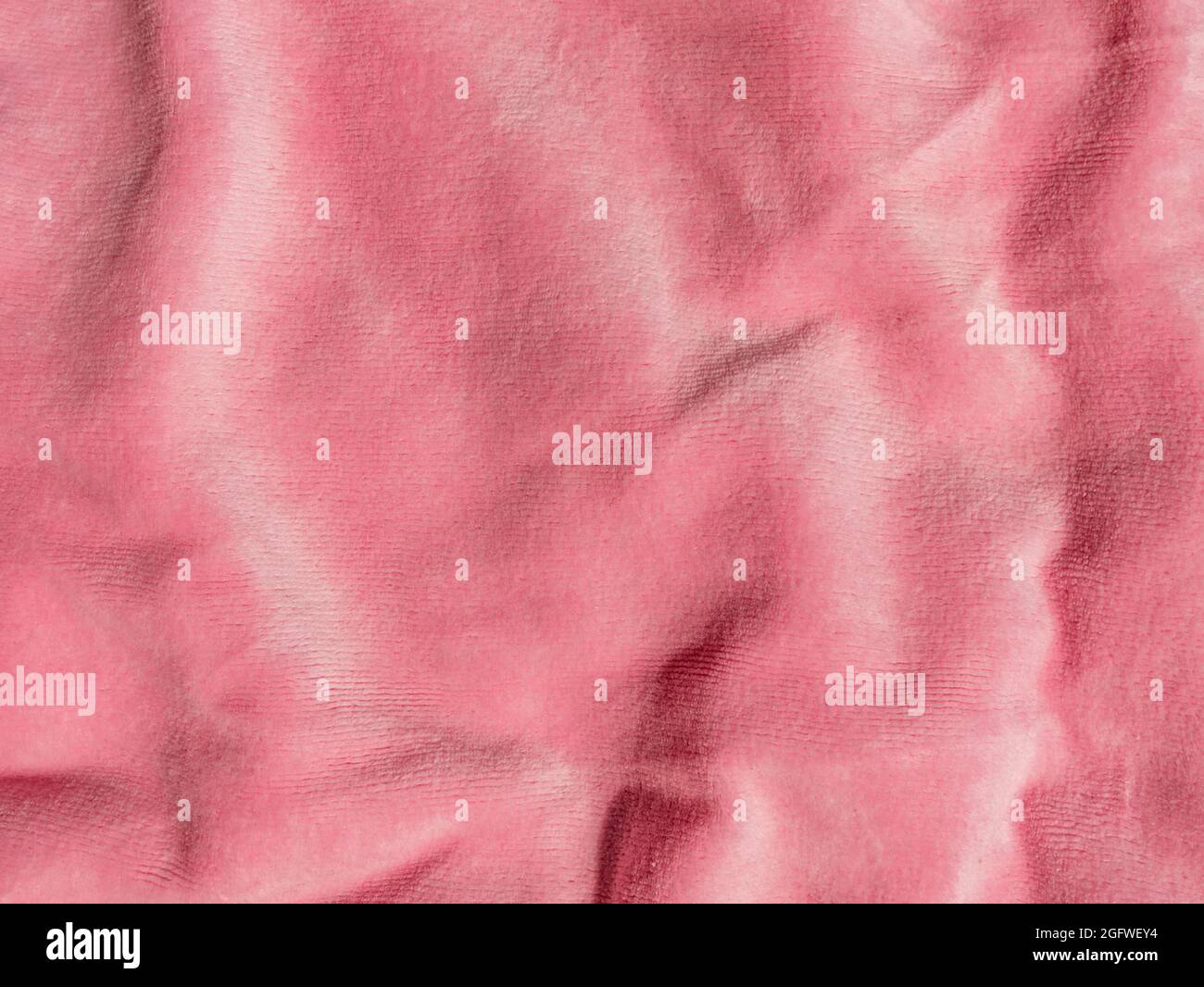 Pink color velvet fabric texture top view. Female blog rose velour ...