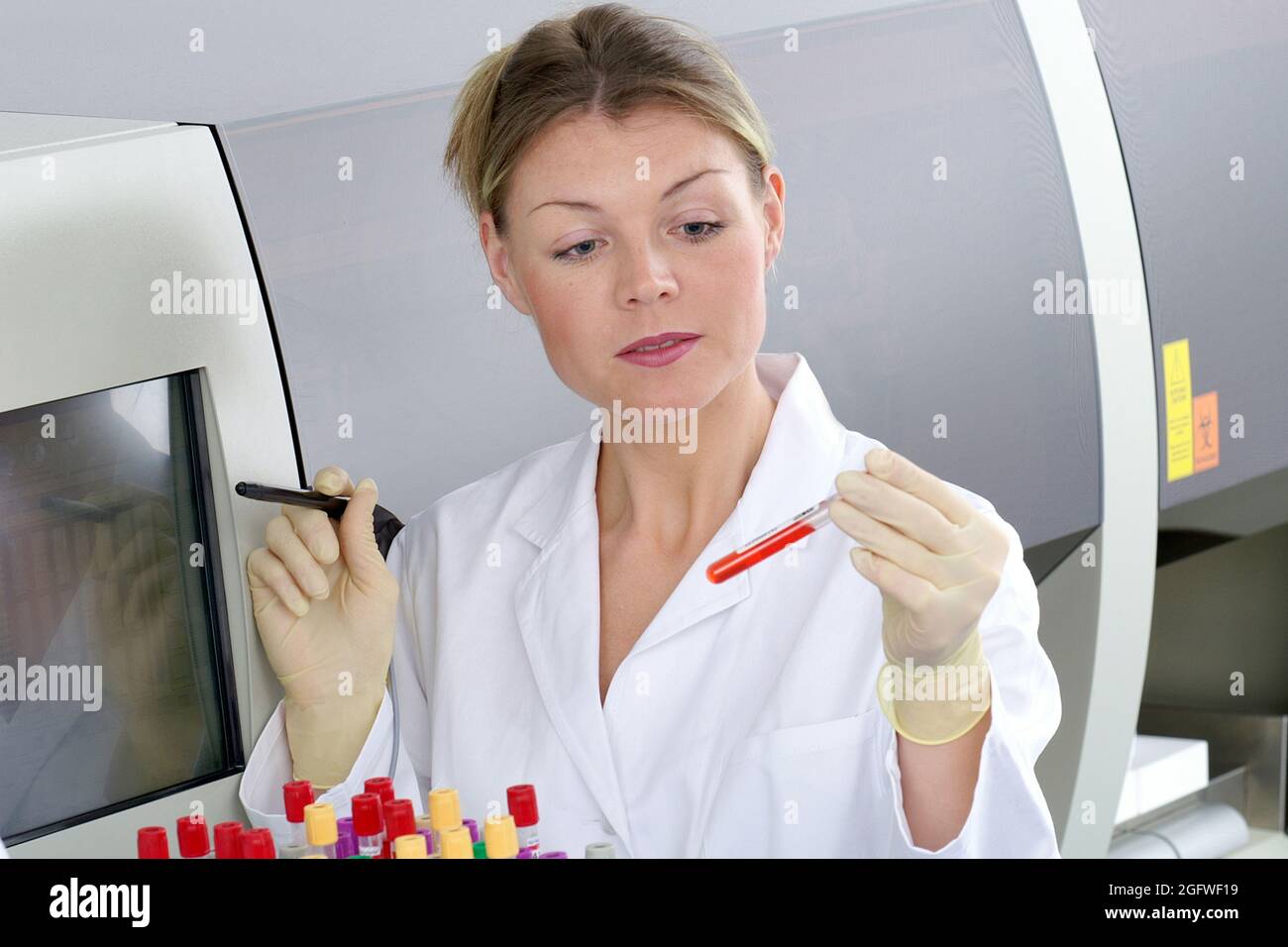 female laboratory assistant looking over a blood sample Stock Photo - Alamy