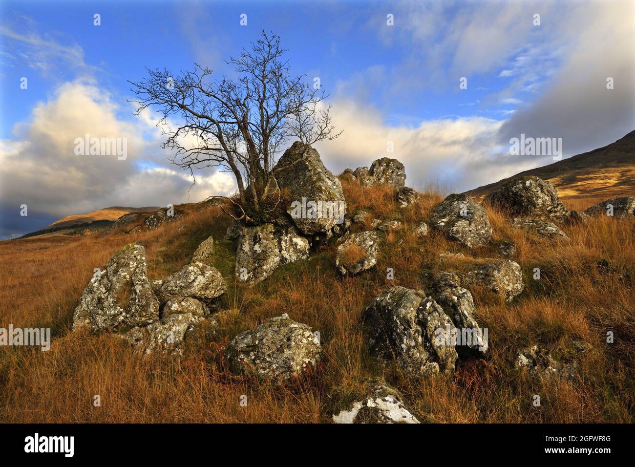 Crianlarich hi-res stock photography and images - Alamy