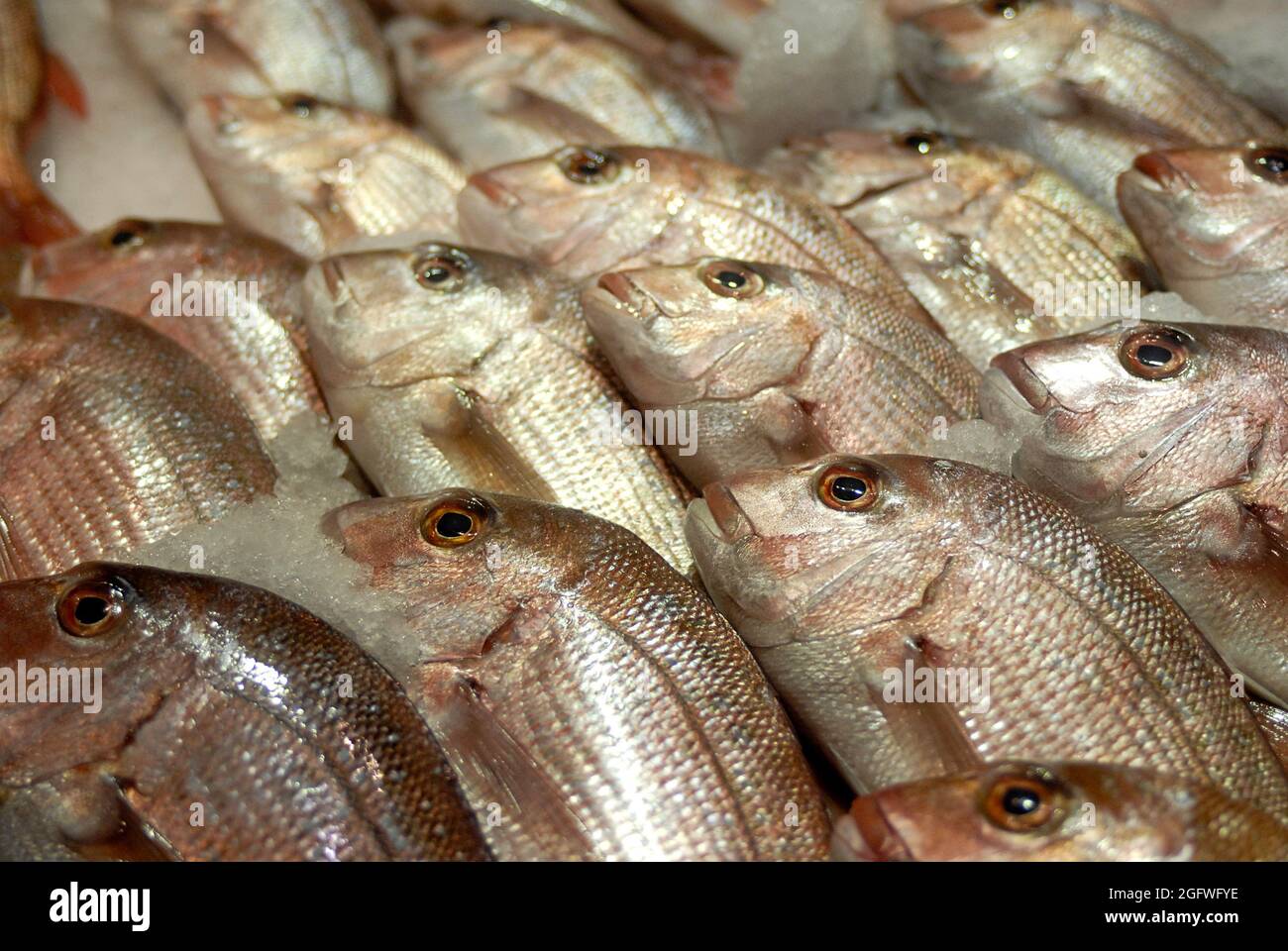 Australian foods hi-res stock photography and images - Alamy