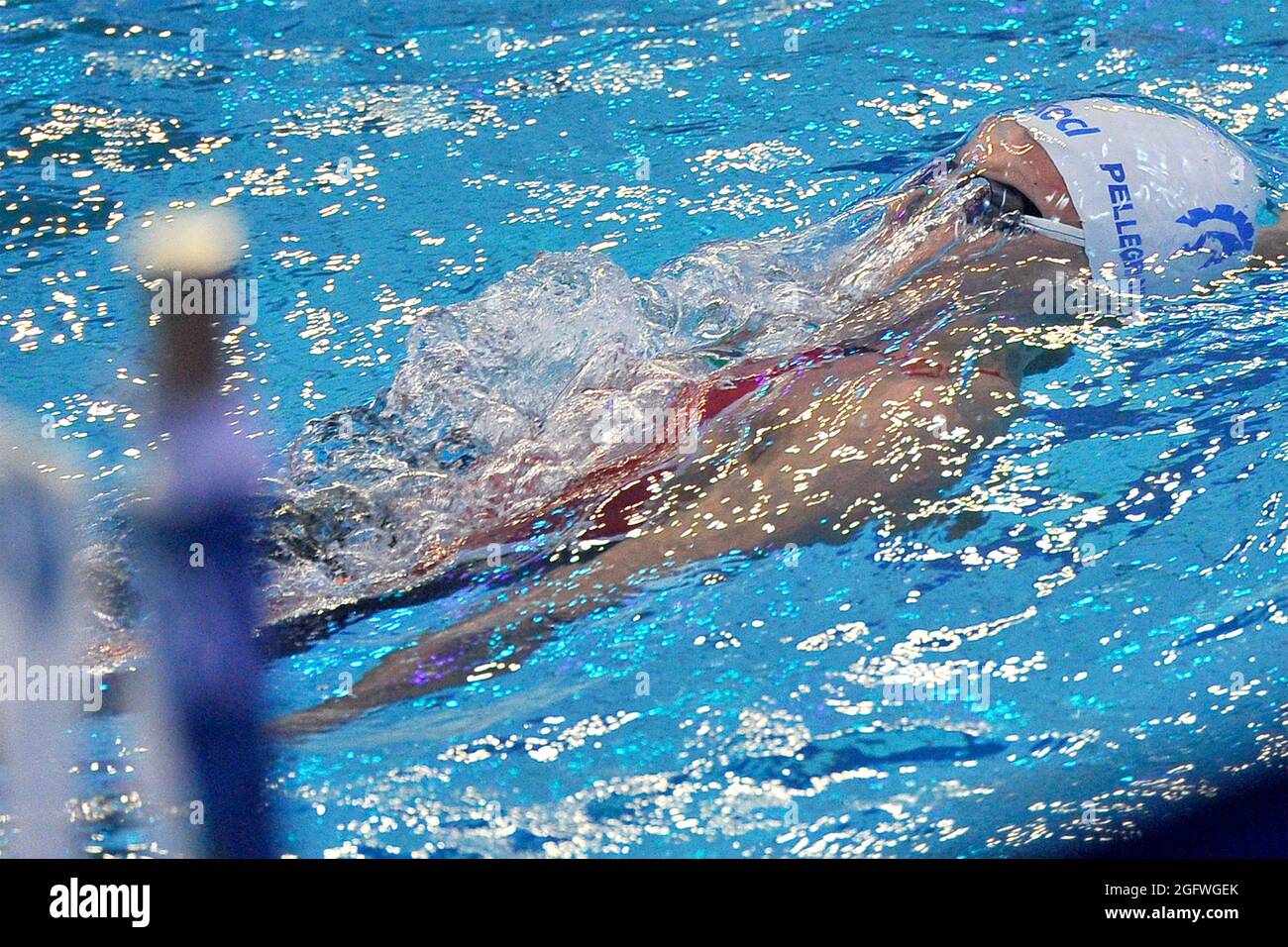 Federica Pellegrini Italian swimmer, during the International Swimming ...