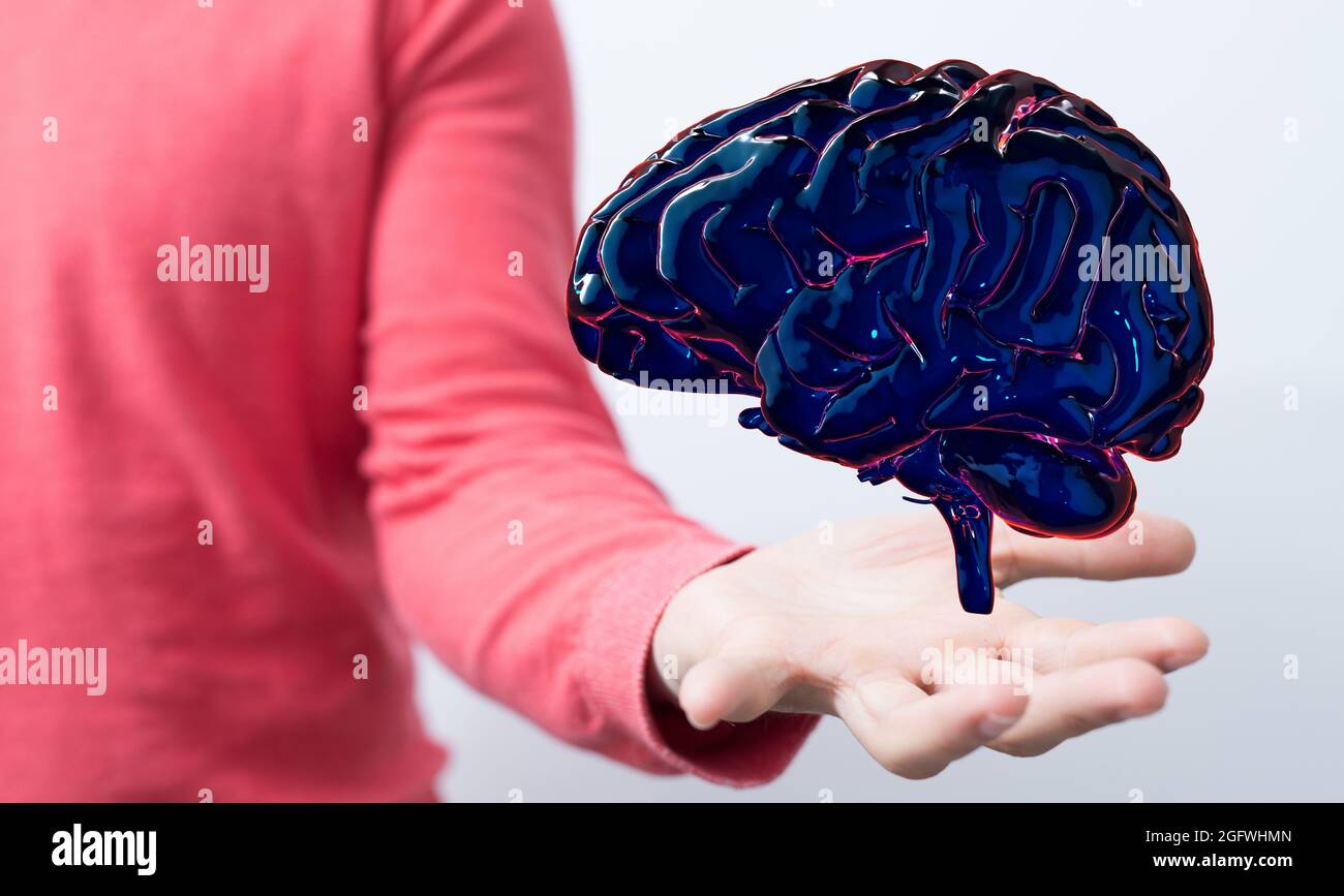 Hand holding an illustration of a human brain - the concept of ...