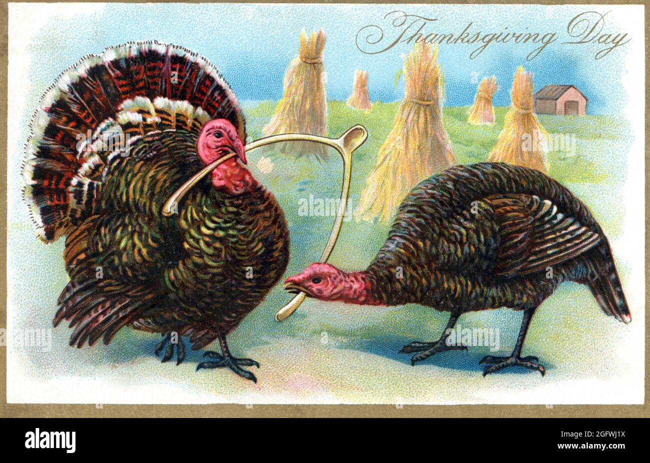 Illustration of two turkeys pulling on a wishbone on a vintage ...