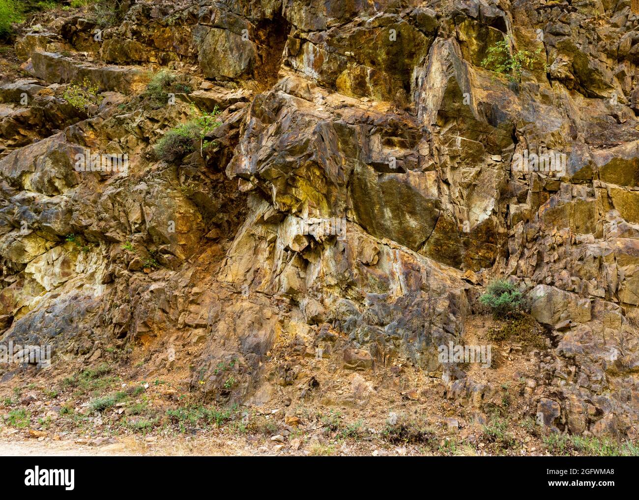 Colorful mountain slope close up Stock Photo - Alamy