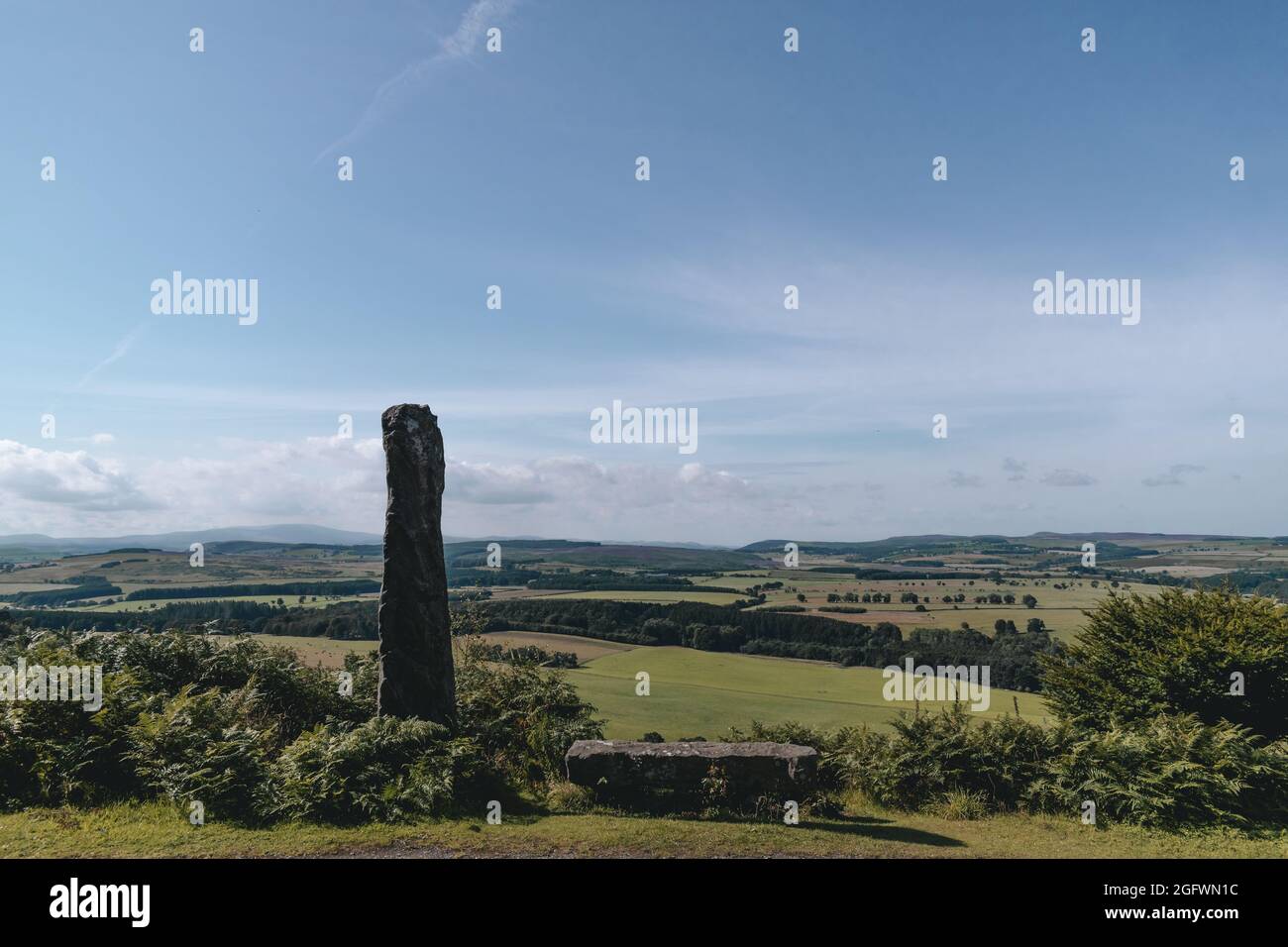 Amazing views of fields and forests in the British countryside Stock ...