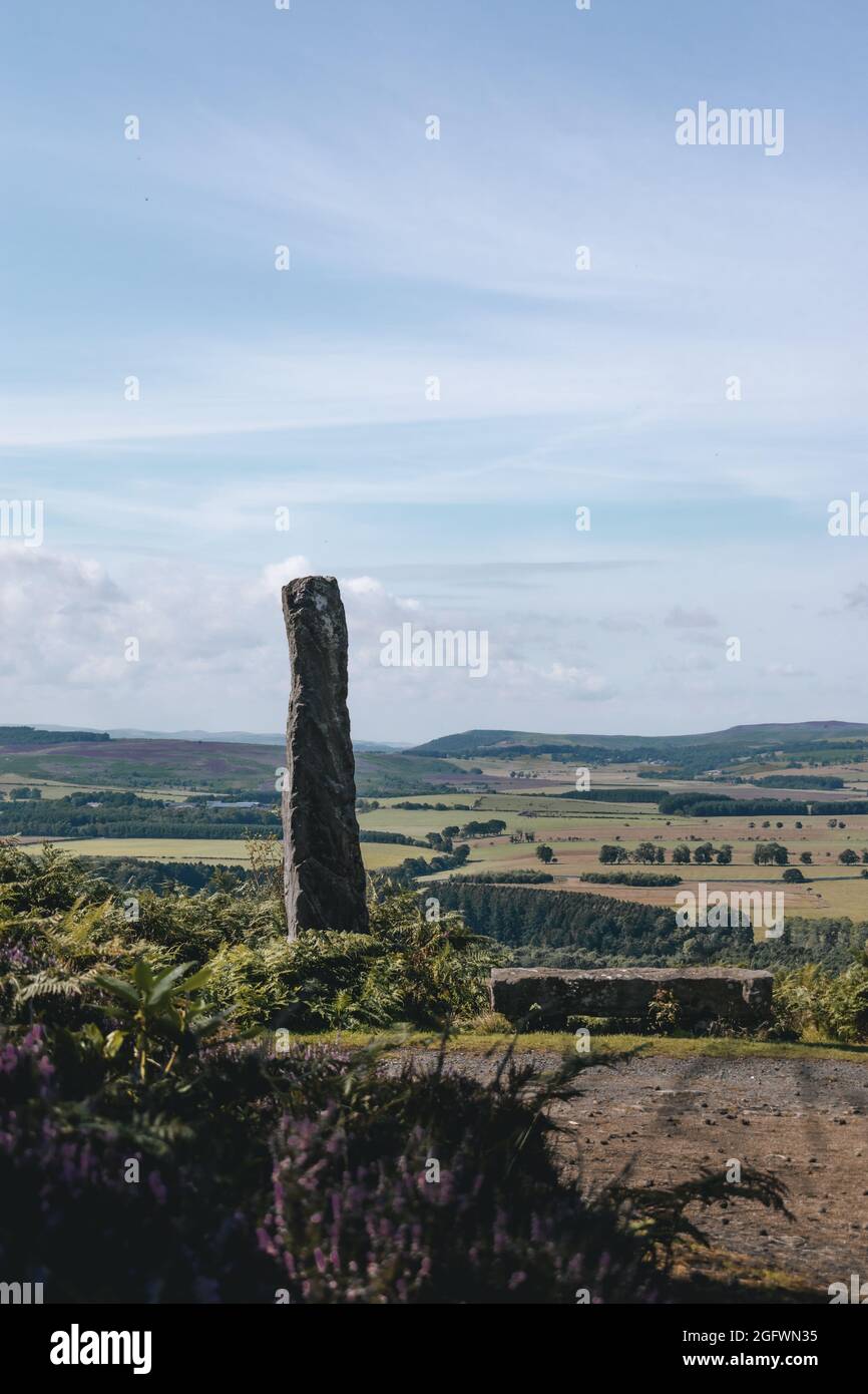 Amazing views of fields and forests in the British countryside Stock ...