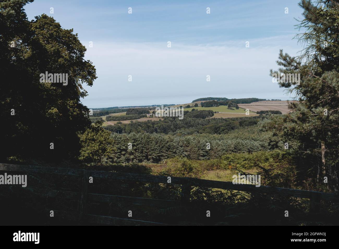Amazing views of fields and forests in the British countryside Stock ...