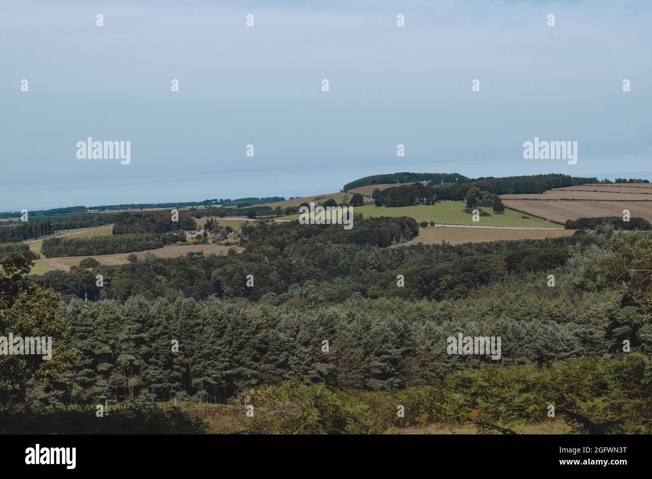 Amazing views of fields and forests in the British countryside Stock ...