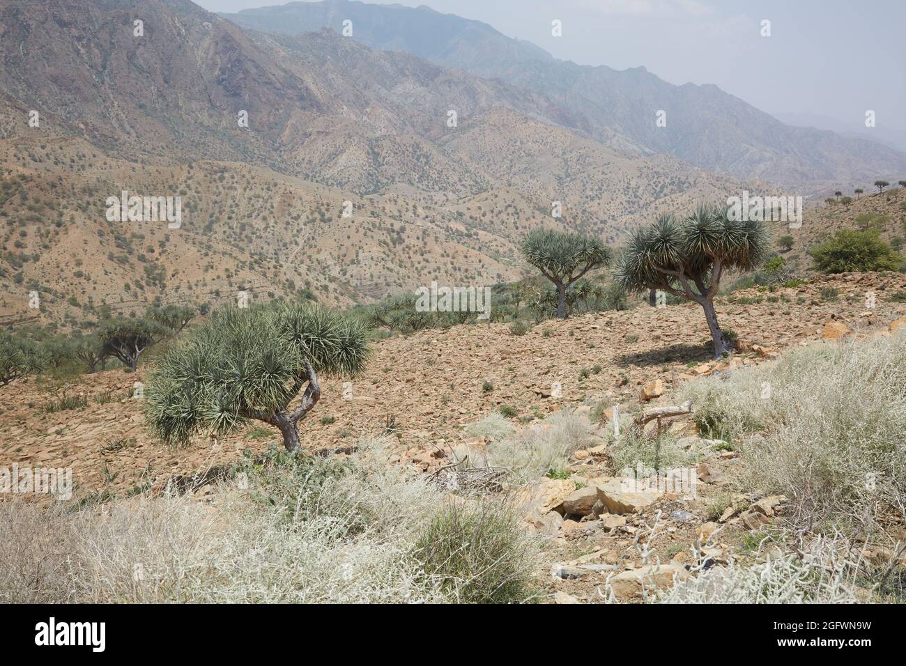 Landscape shot of afar region, Ethiopia Stock Photo - Alamy