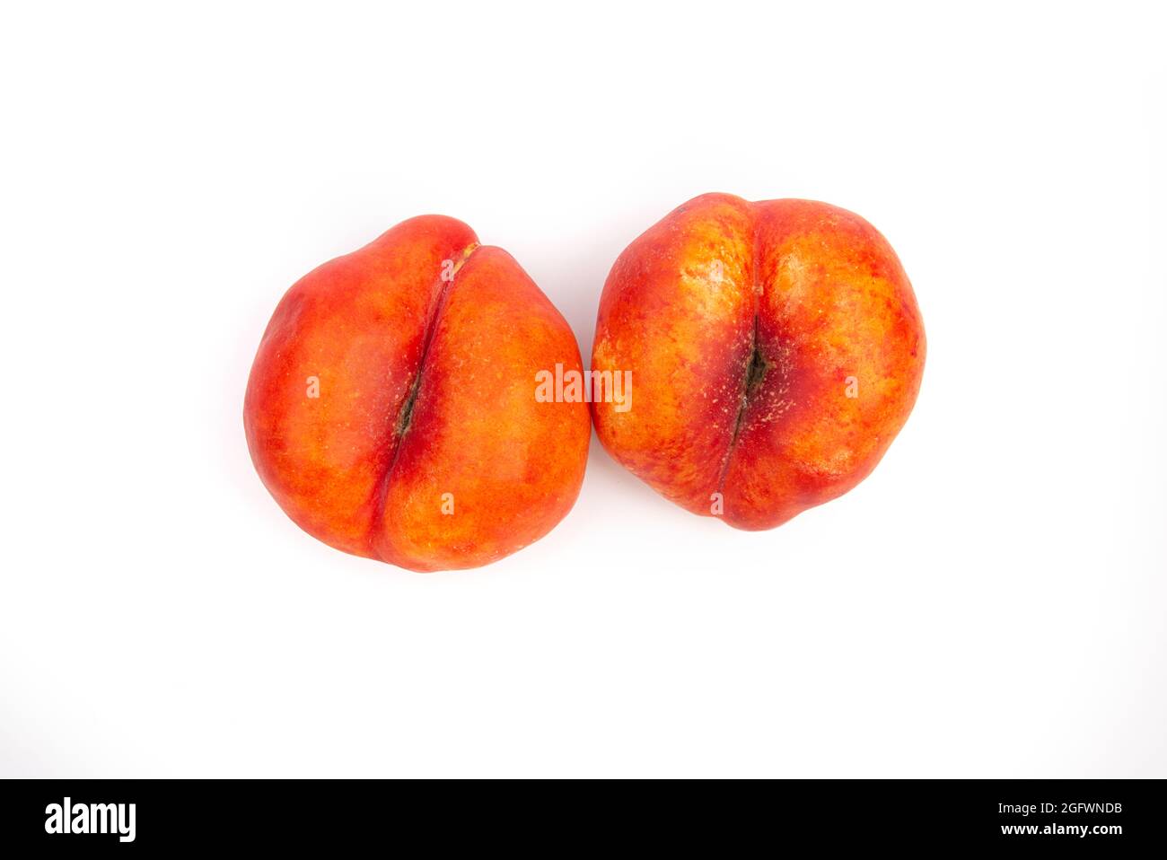 Flat peach on a white background. Top view Stock Photo - Alamy