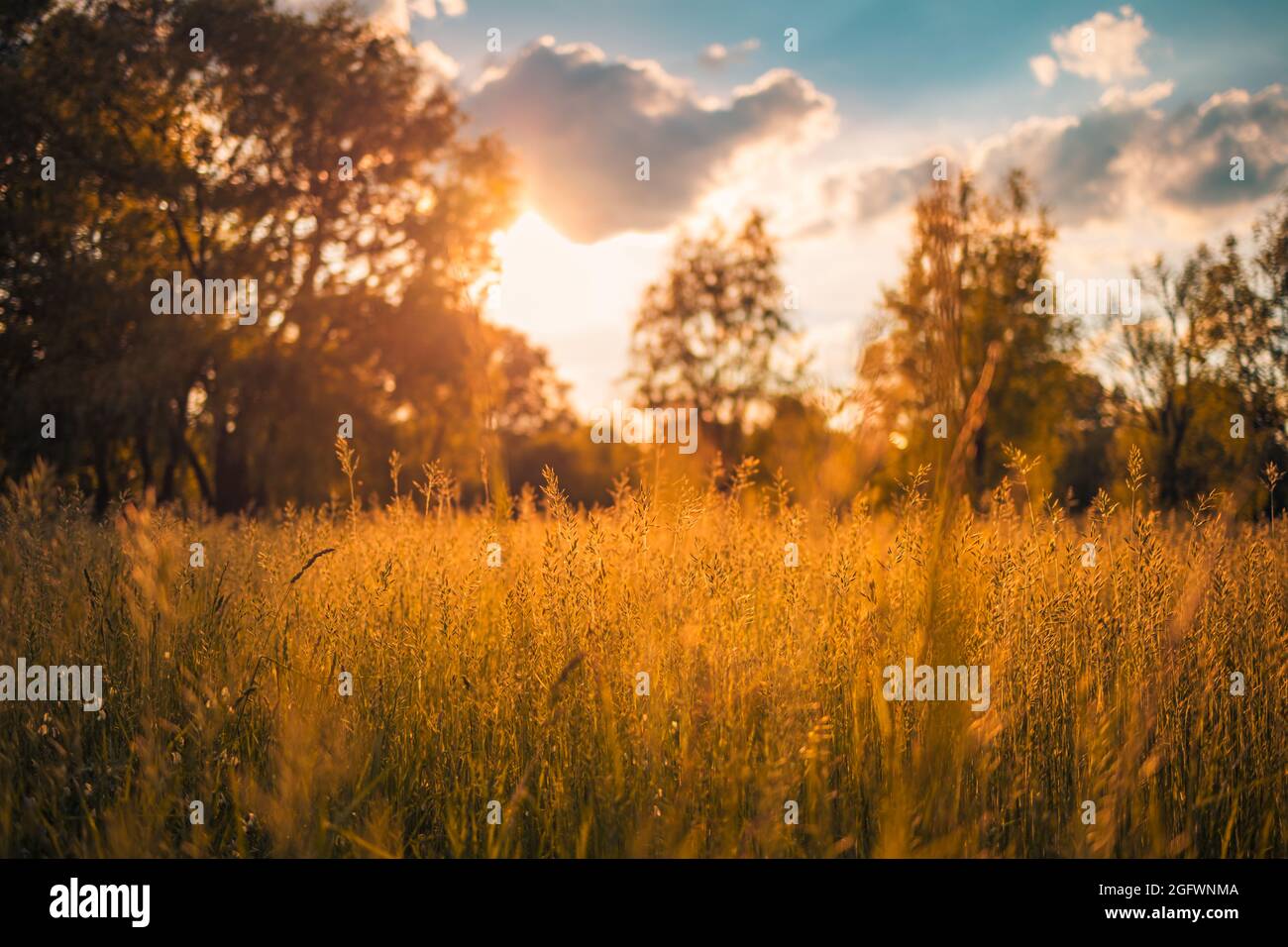 Abstract yellow landscape hi-res stock photography and images - Alamy