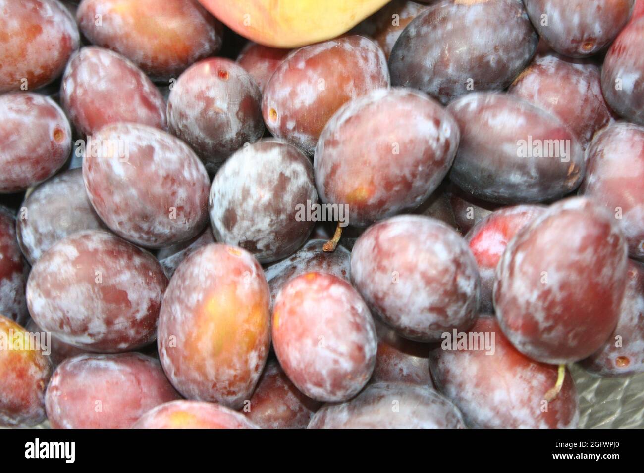 Plim life hi-res stock photography and images - Alamy