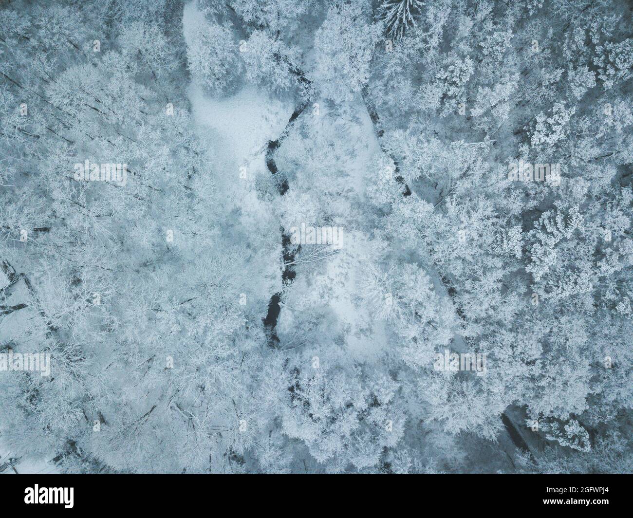 A small river going trough the white forest Stock Photo - Alamy