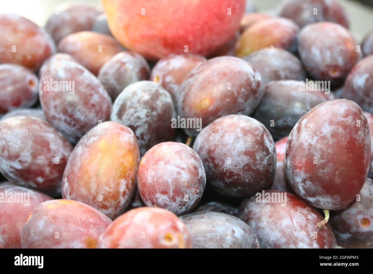 Plim life hi-res stock photography and images - Alamy