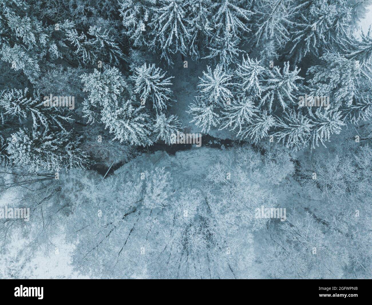 A small river going trough the white forest Stock Photo - Alamy