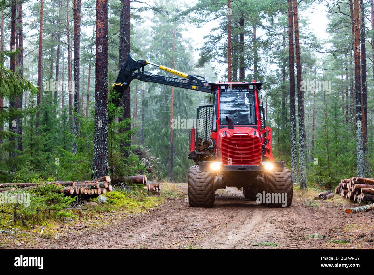 Road for forestry vehicles hi-res stock photography and images - Alamy