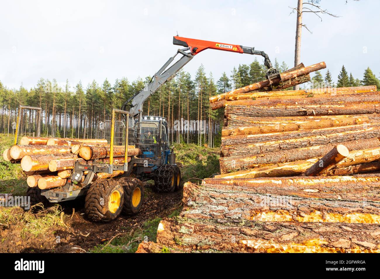 Forest machine at work Stock Photo - Alamy
