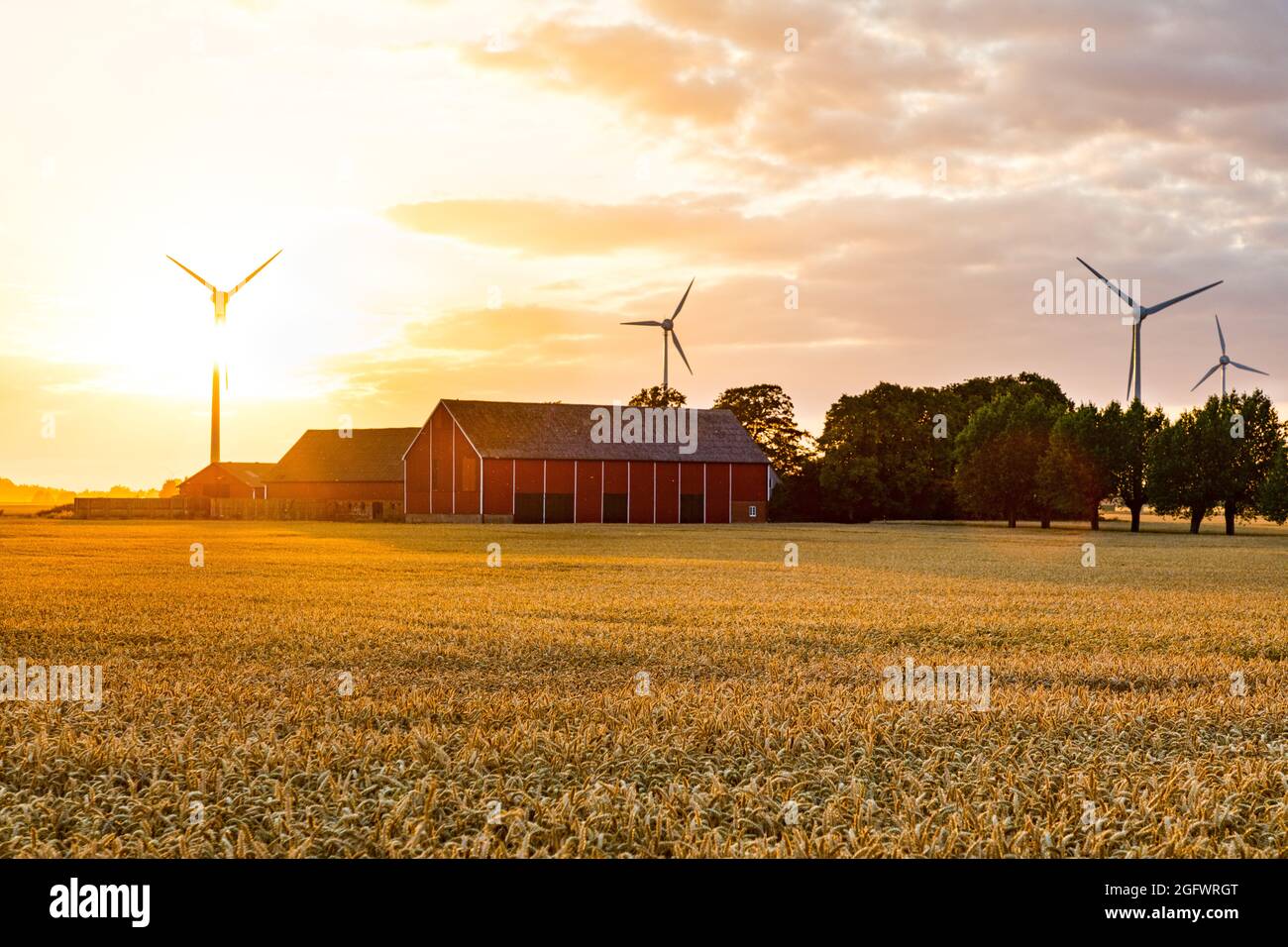 Farm and wind turbines in rural area Stock Photo - Alamy