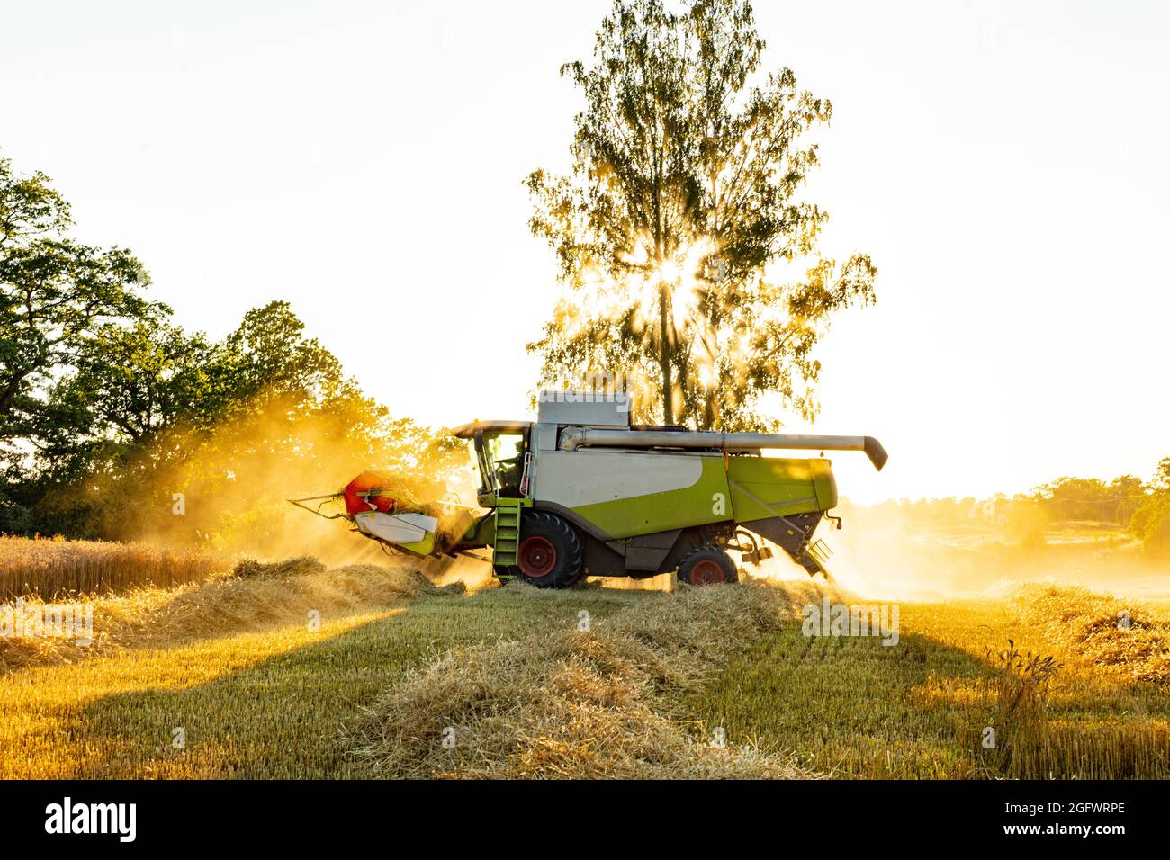 Combine harvester working on field Stock Photo - Alamy