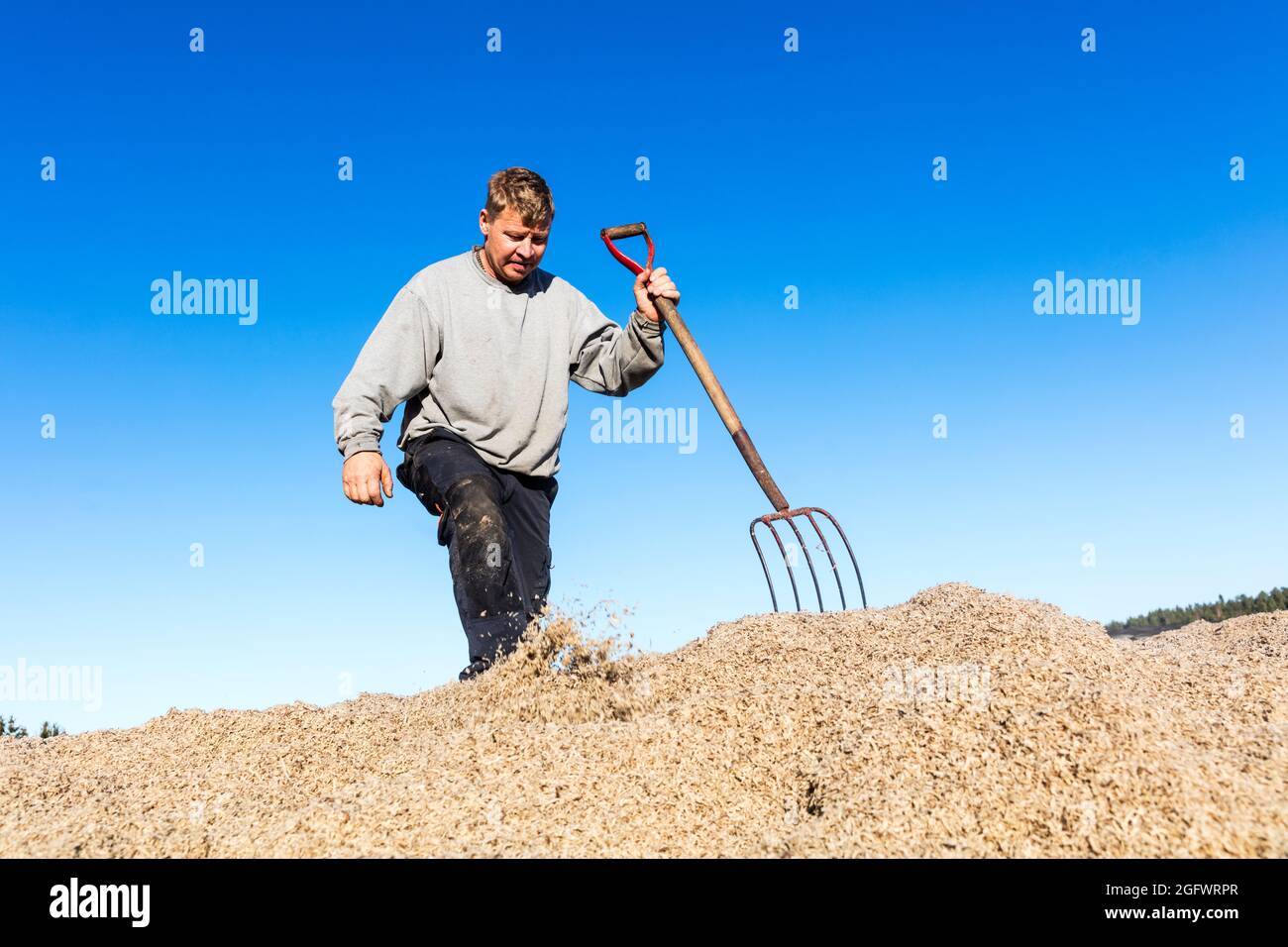 Man pitchfork hi-res stock photography and images - Alamy