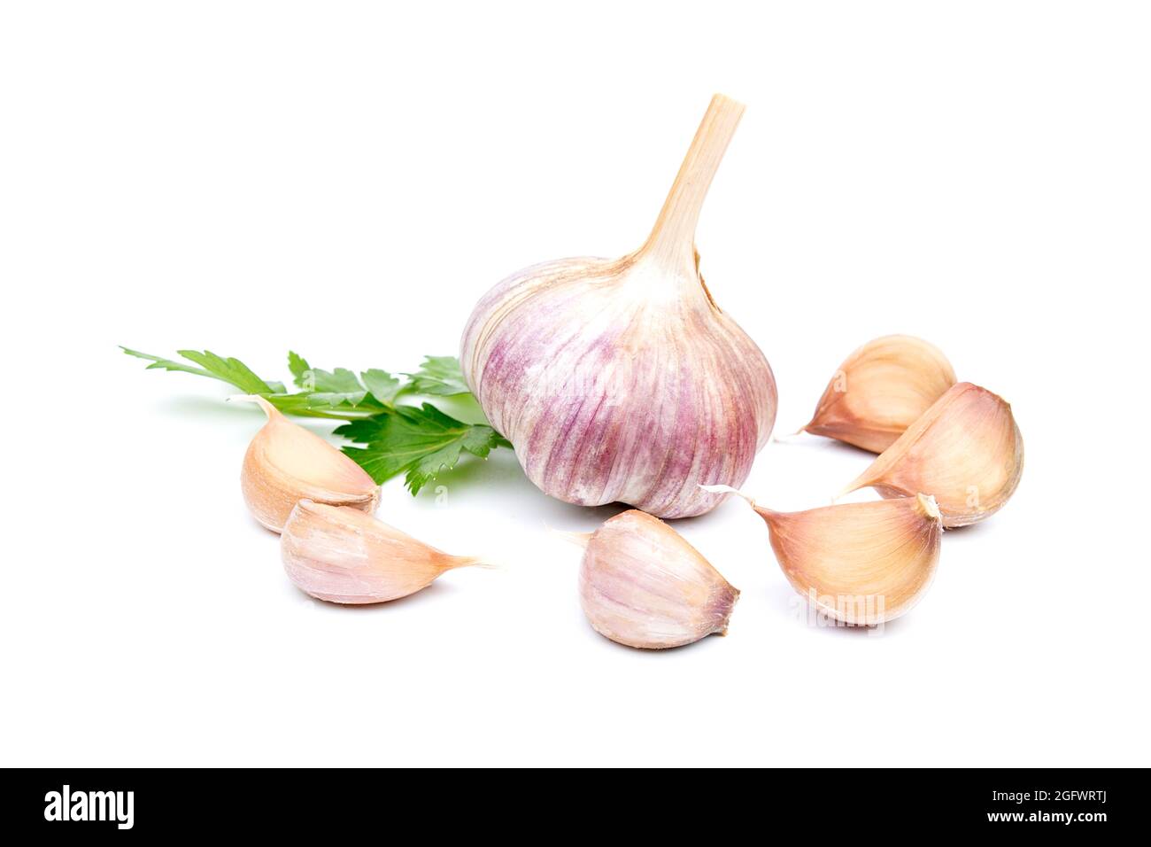 Garlic Cloves and Garlic Bulb on white background Stock Photo - Alamy