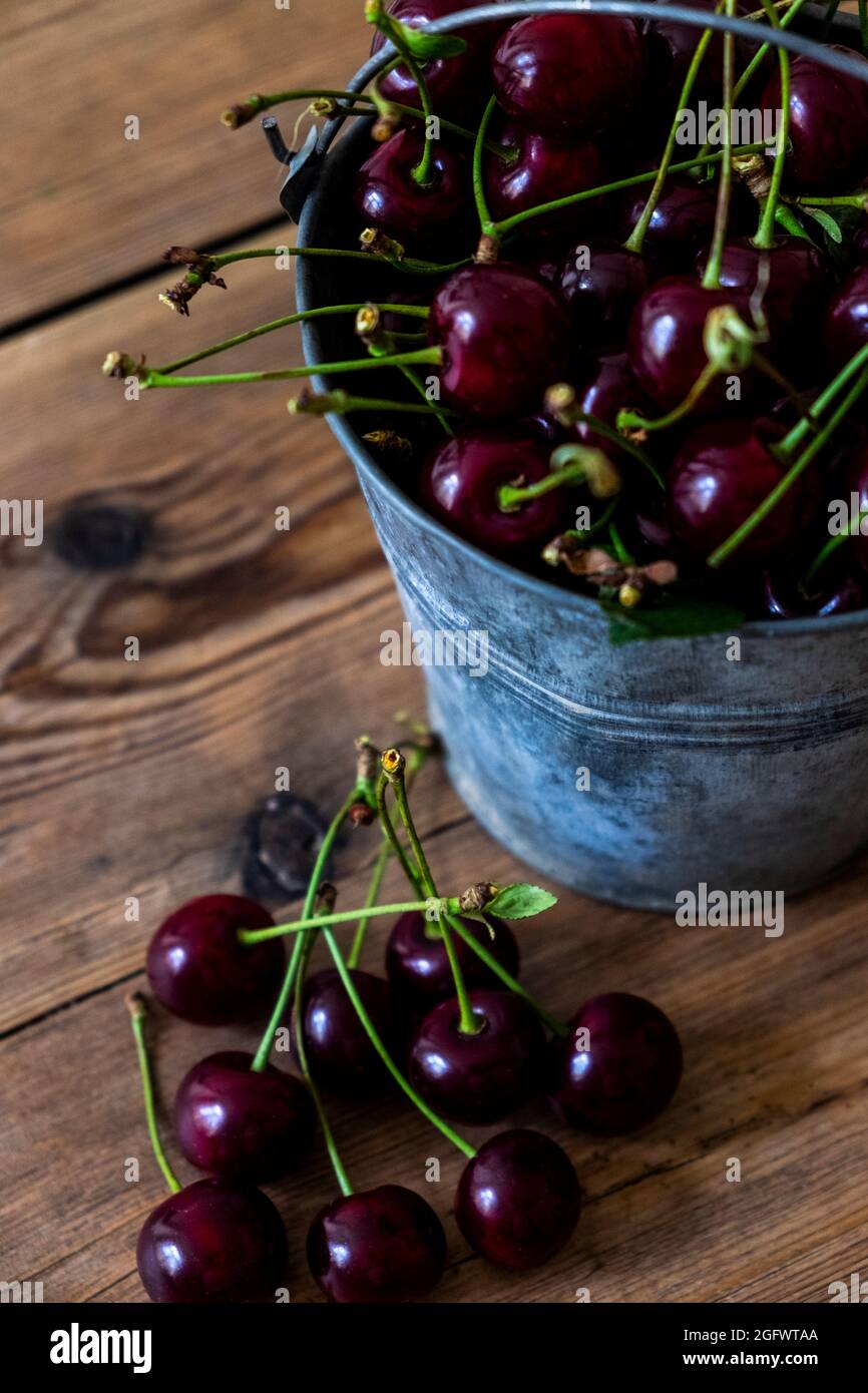 Ripe cherries in metal bucket Stock Photo - Alamy