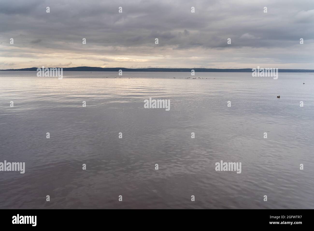 Beautiful autumn misty grey lake and cloudy sky reflection in the water ...