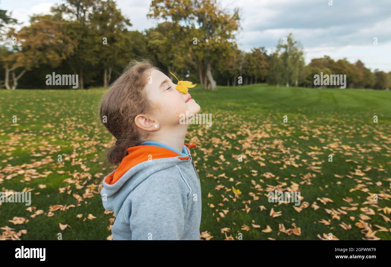 girl squinting holding an autumn yellow leaf on her nose Stock Photo ...