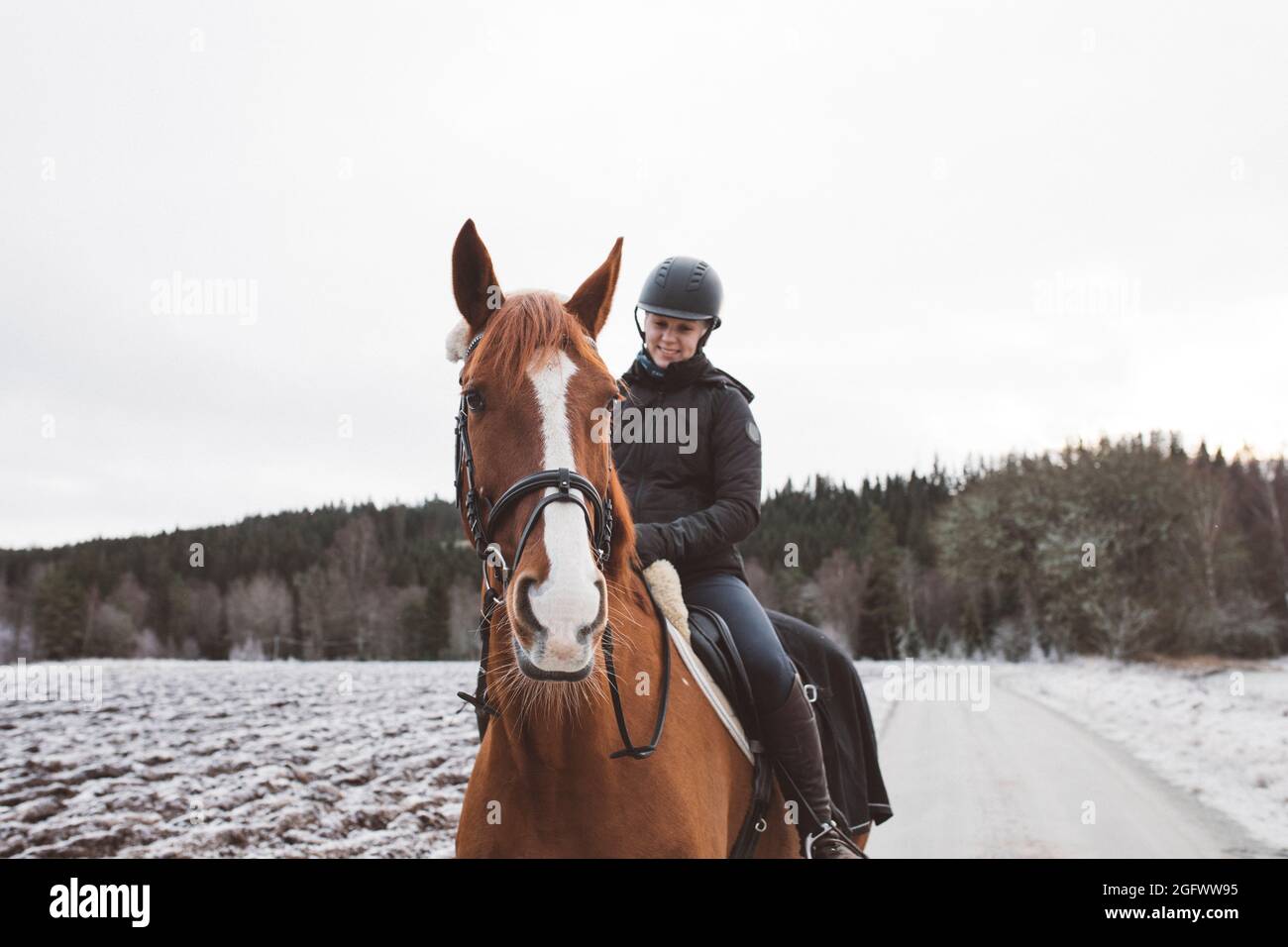 Woman horseback riding hi-res stock photography and images - Alamy