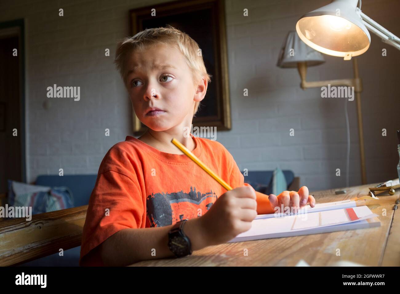 Boy doing homework Stock Photo - Alamy