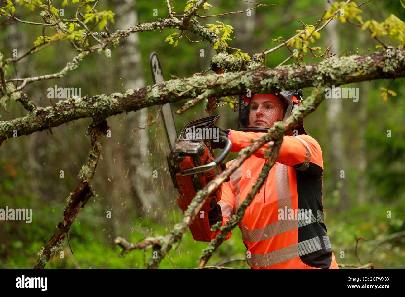 Woman lumberjack hi-res stock photography and images - Alamy