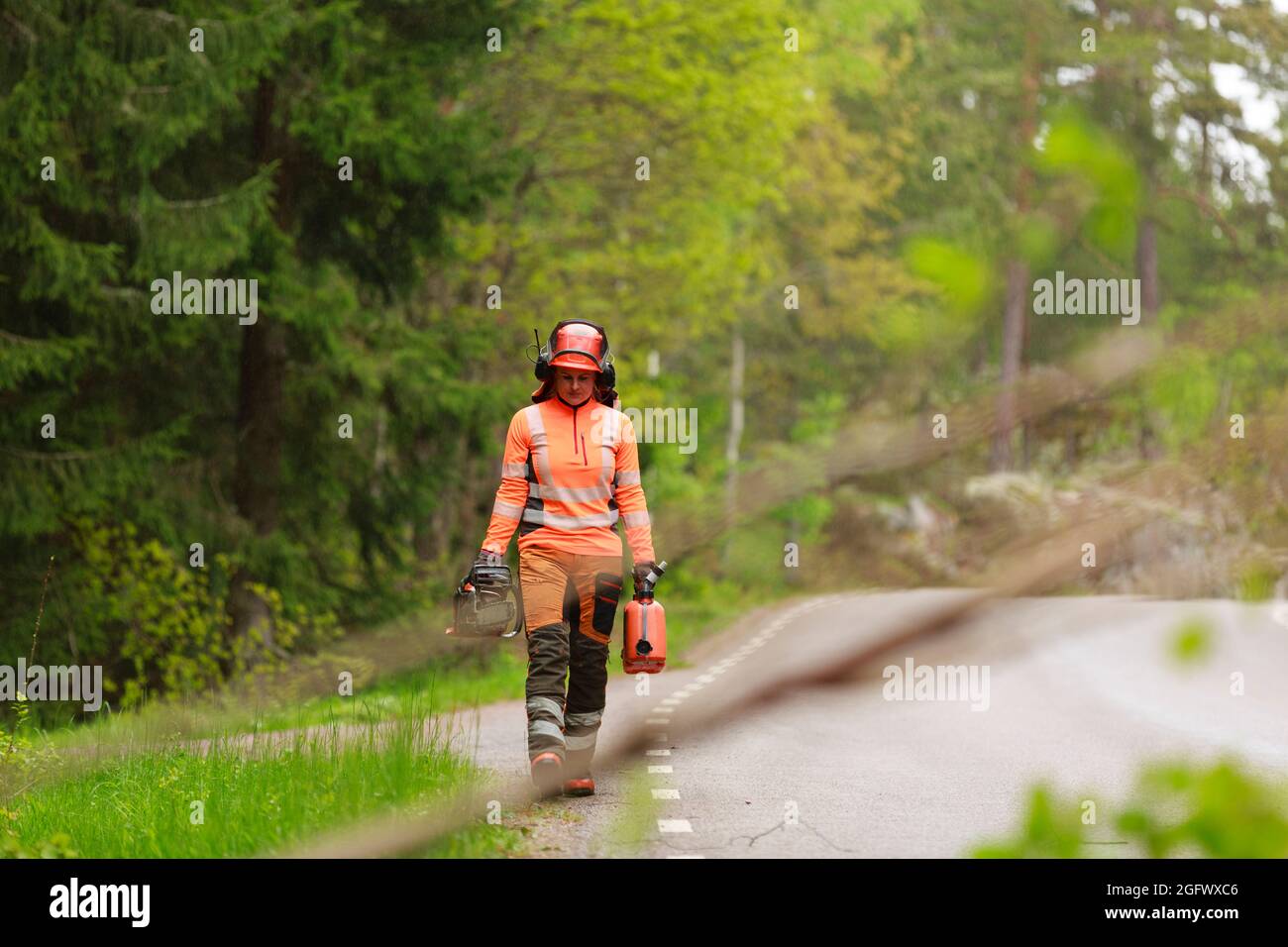 Female lumberjack walking on forest road Stock Photo - Alamy