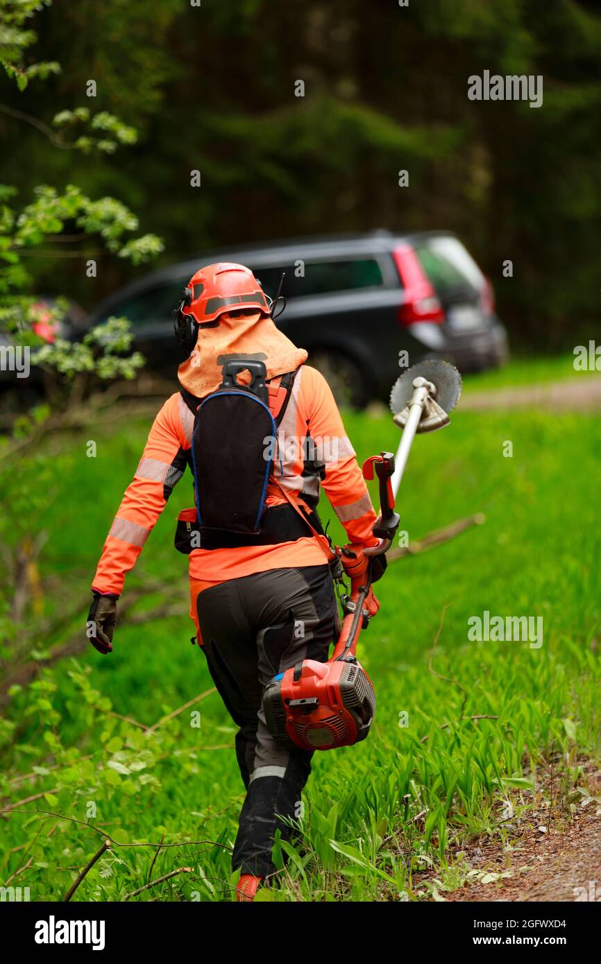 Female lumberjack walking on forest road Stock Photo - Alamy