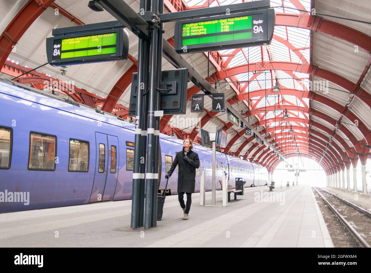 Man checking timetable at train station Stock Photo - Alamy