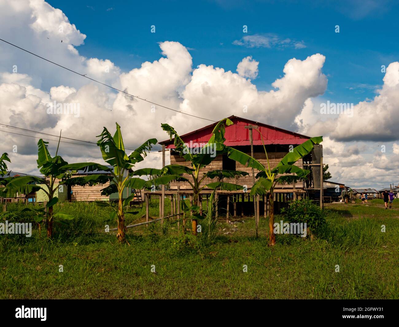 Santa Rosa Peru - Nov 2019: Typical wooden cottage on the stilts in the ...