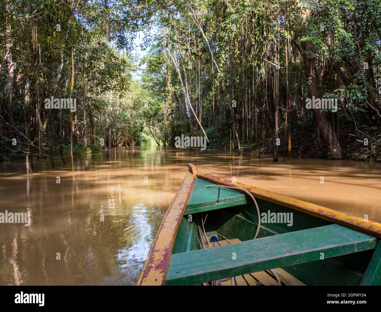 View from the wooden boat on the wall of green tropical forest in in ...