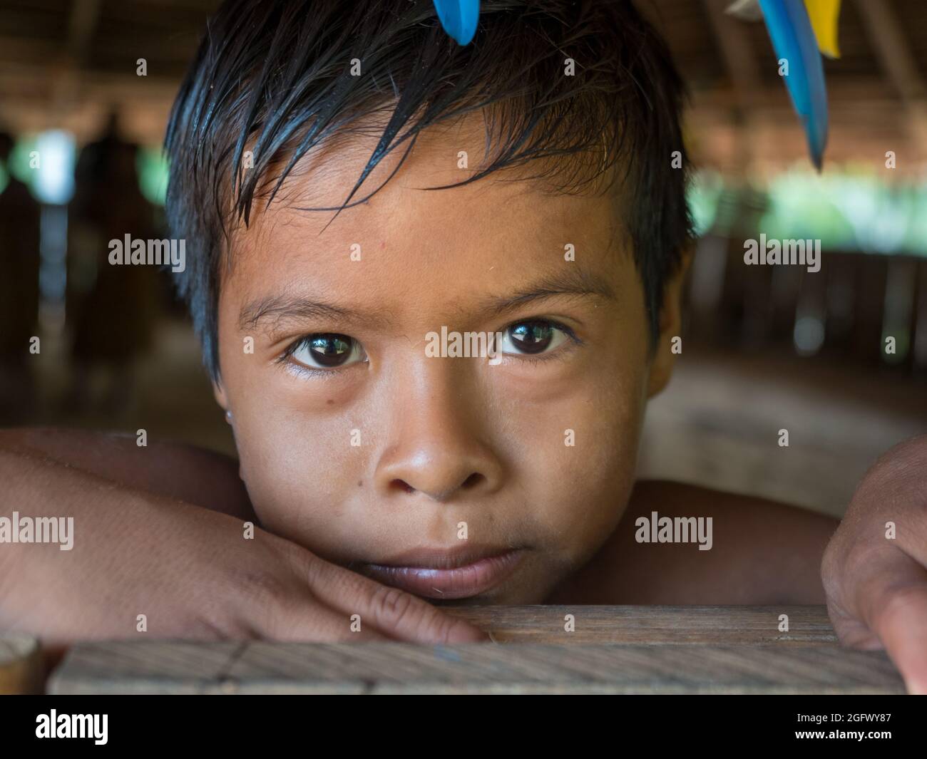 Yaguas indian hi-res stock photography and images - Alamy