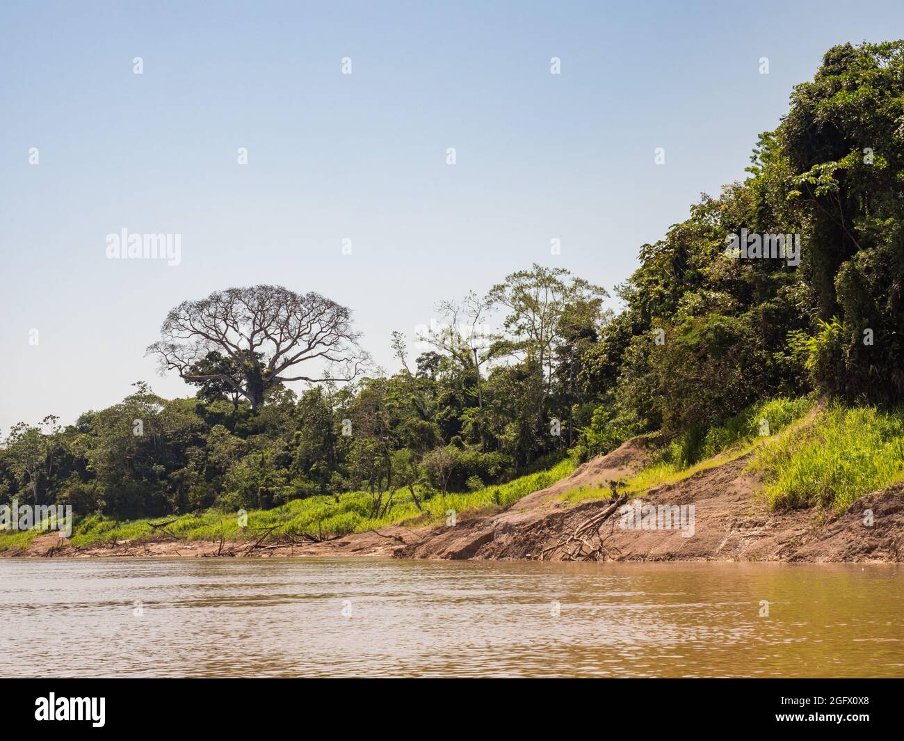 Peru amazon rainforest camera hi-res stock photography and images - Alamy