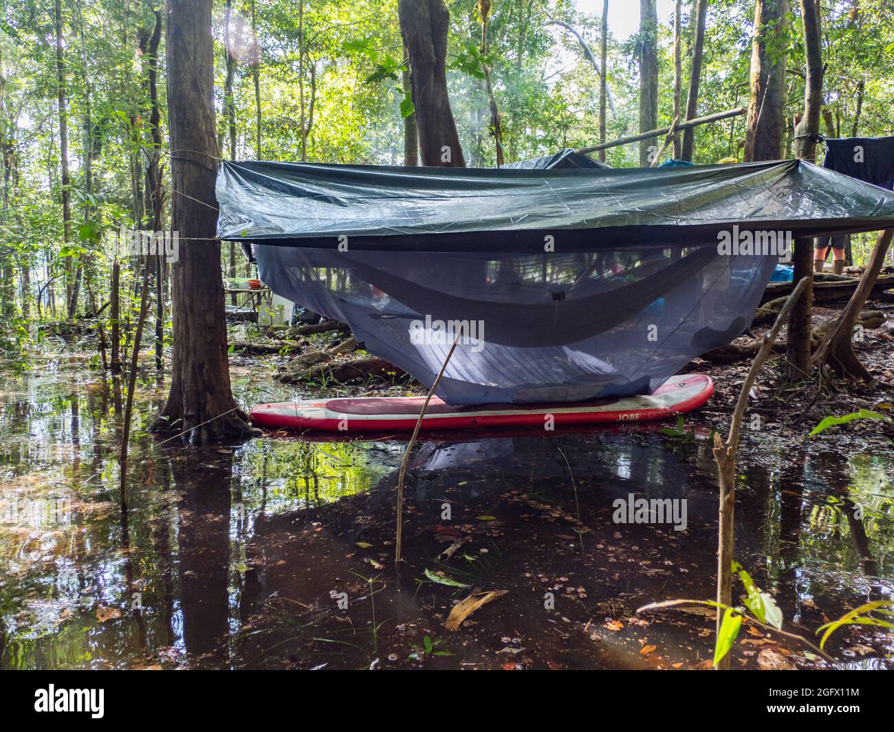 Hammock rain forest hi-res stock photography and images - Alamy